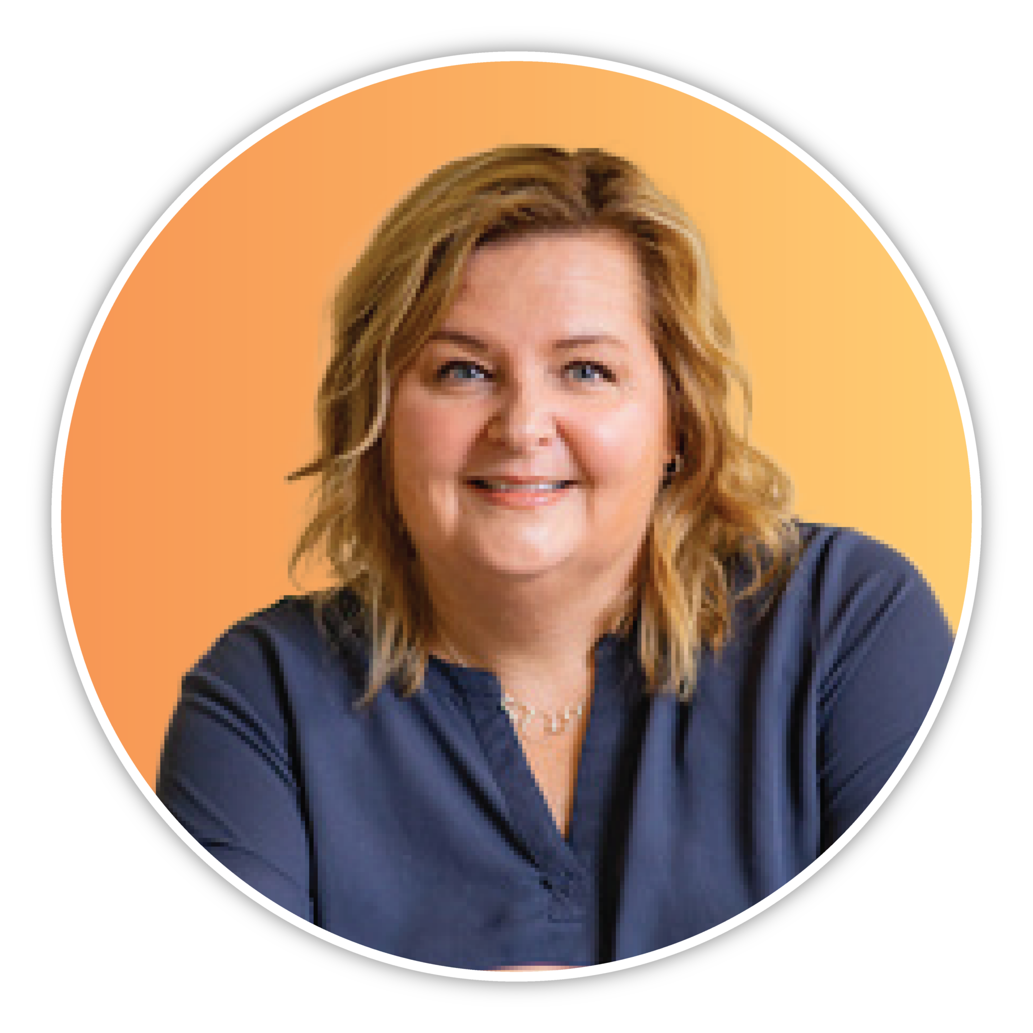 About - Procurement Partners