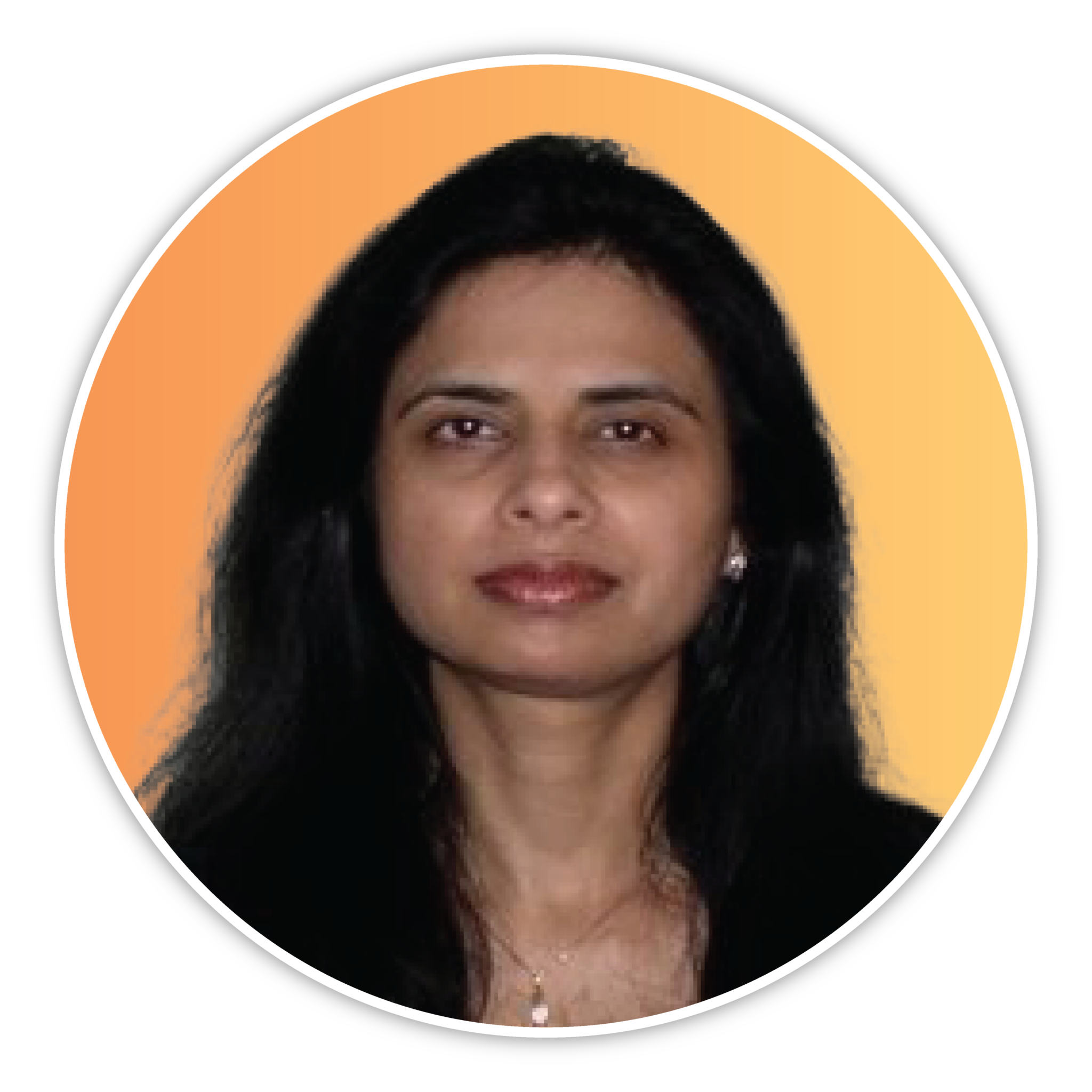 About - Procurement Partners